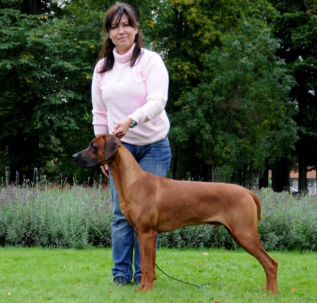 African Braveheart - Rhodesian Ridgebacks