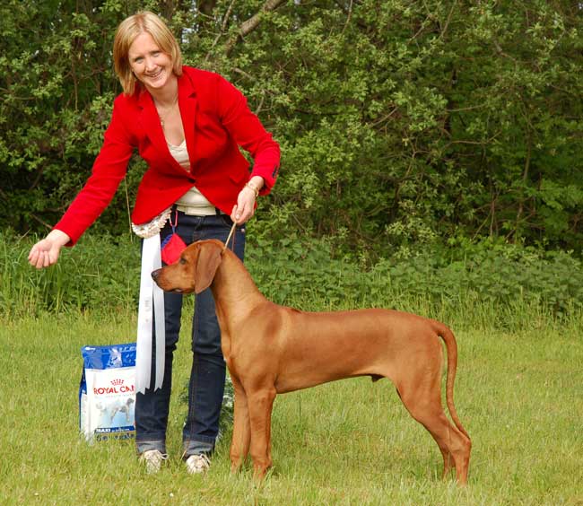 African Braveheart - Rhodesian Ridgebacks