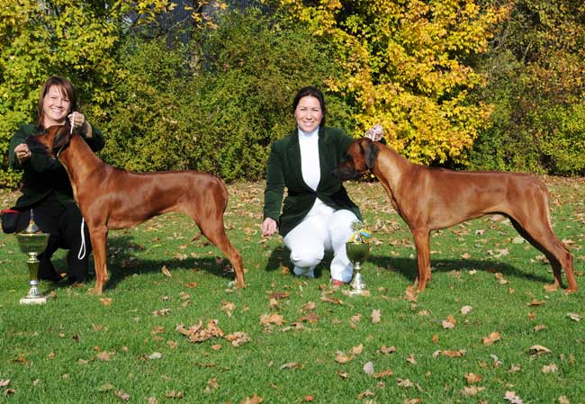 African Braveheart - Rhodesian Ridgebacks