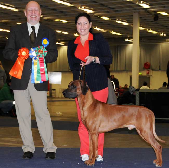 African Braveheart - Rhodesian Ridgebacks